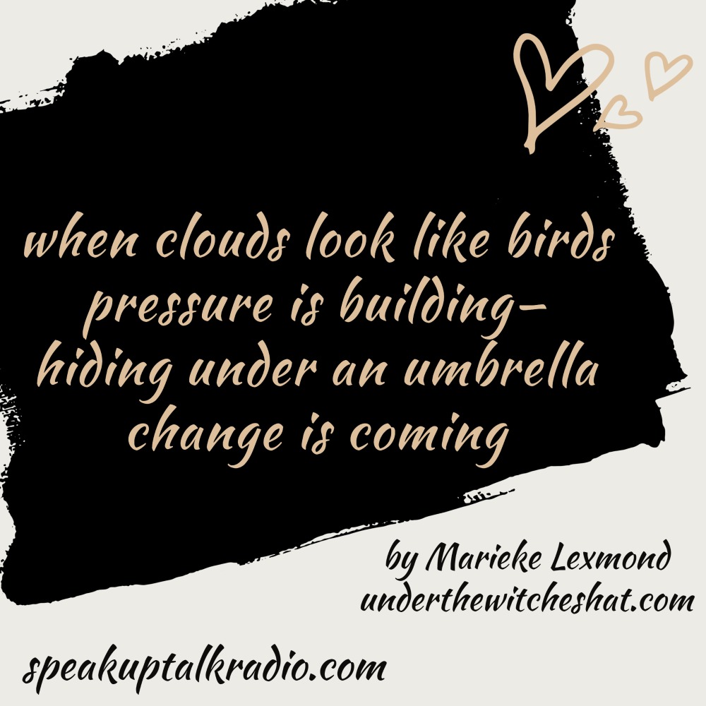 HAIKU JUNE – ~~SPEAK UP TALK RADIO~~ Author & Podcast Services with a ...